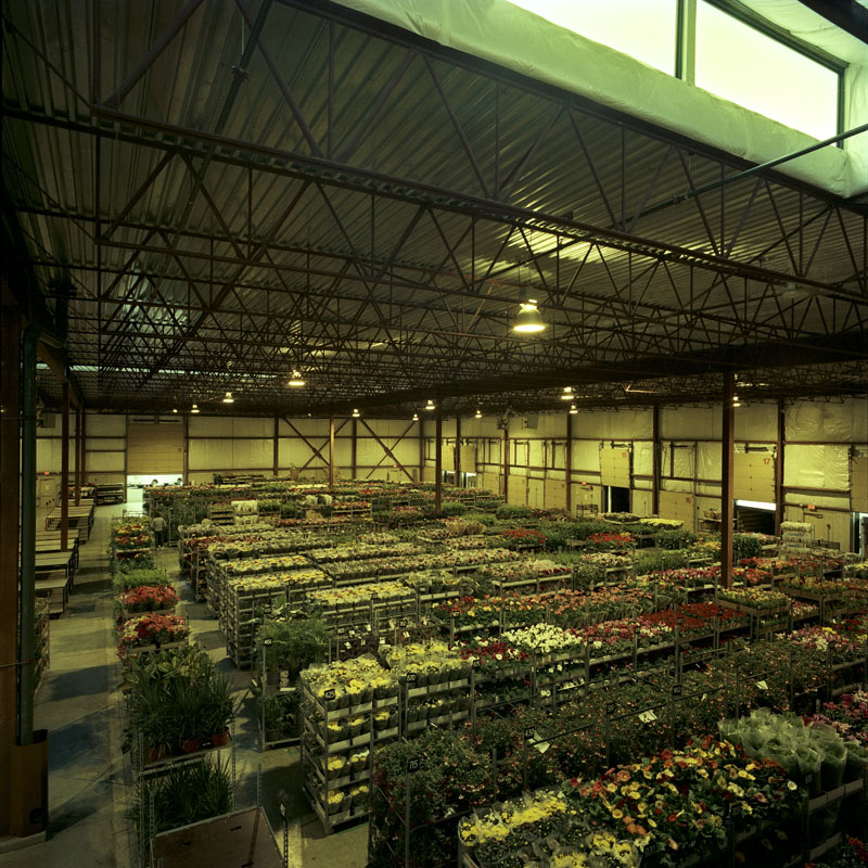 United Flower Growers Auction House - Kerkhoff Develop-Build